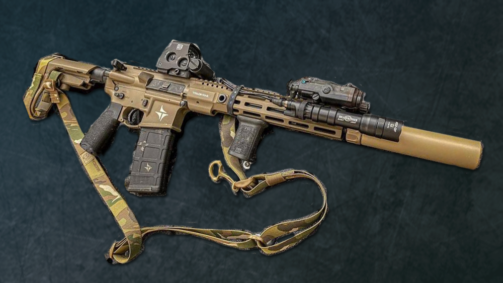 Virginia Senate passes bill to ban the future purchases of assault ...
